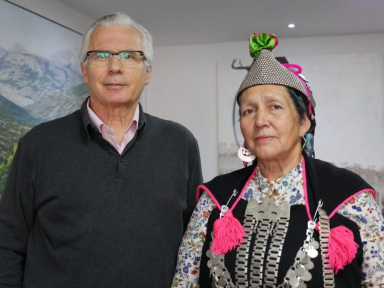 Mapuche Nation Archives : Peoples Dispatch