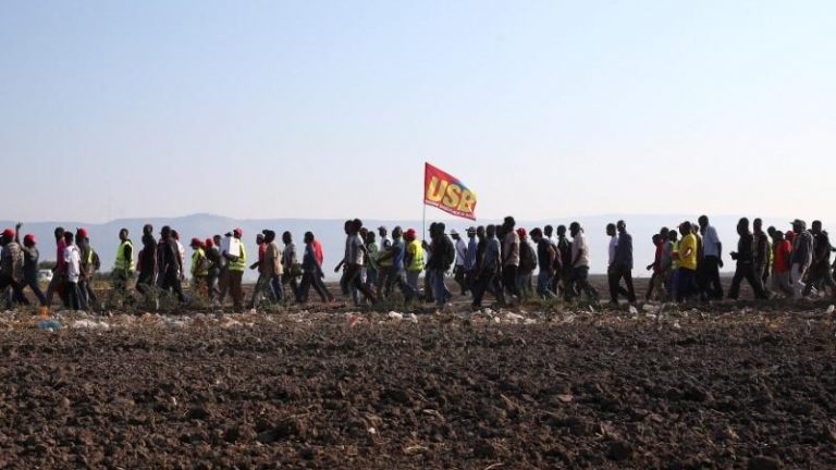 From fields to supermarkets, solidarity with laborers on strike ...