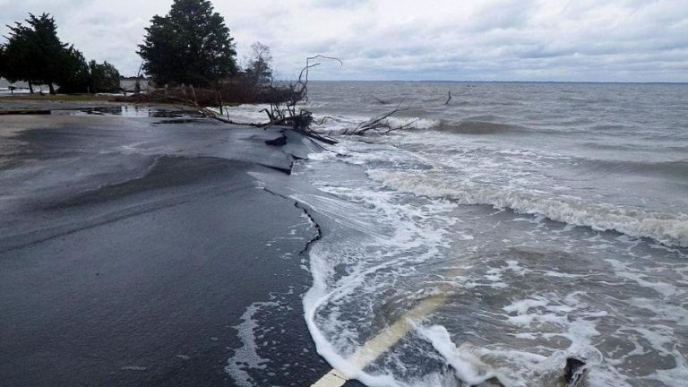 Half of the world’s oceans are already affected by human-induced ...