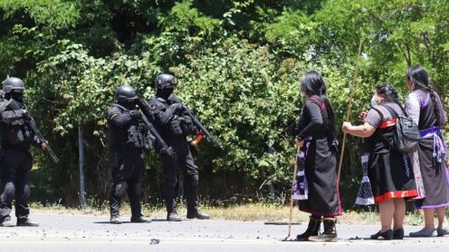 Mapuche Nation Archives : Peoples Dispatch