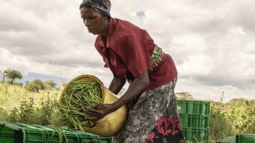 In 2020, rise in number of those affected by chronic hunger was more ...