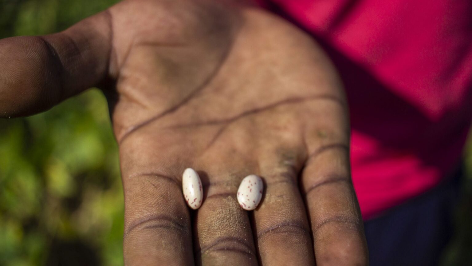 Historic setbacks in fight against hunger, UN reports : Peoples Dispatch