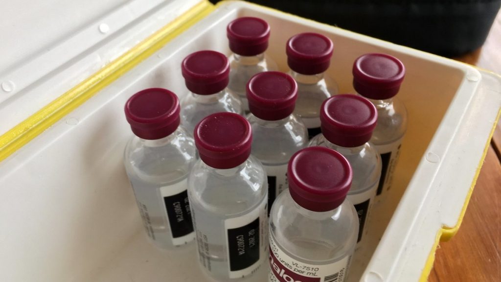 Access to insulin: A tale of 100 years of disparity : Peoples Dispatch