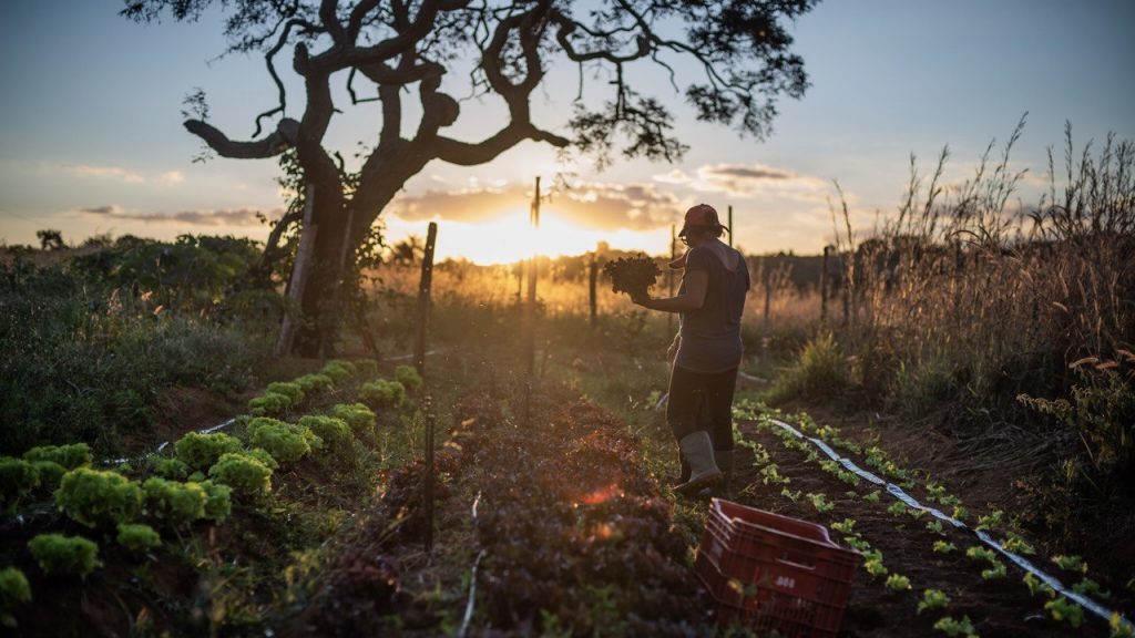 Latin America and the Caribbean is the region where hunger has grown ...