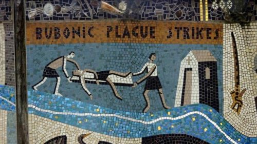 Bubonic plague left a mark on our genomes and it may have a link to ...