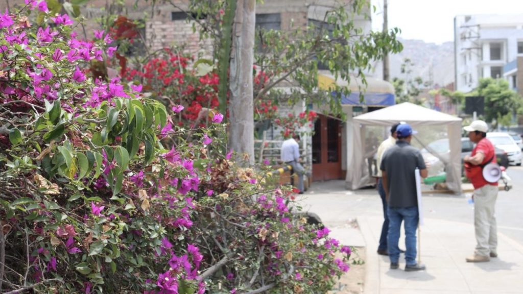 “We are here to support our President”: Peruvians resist the coup ...