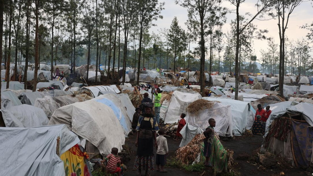 7 million displaced in the Democratic Republic of Congo as M23 attacks ...