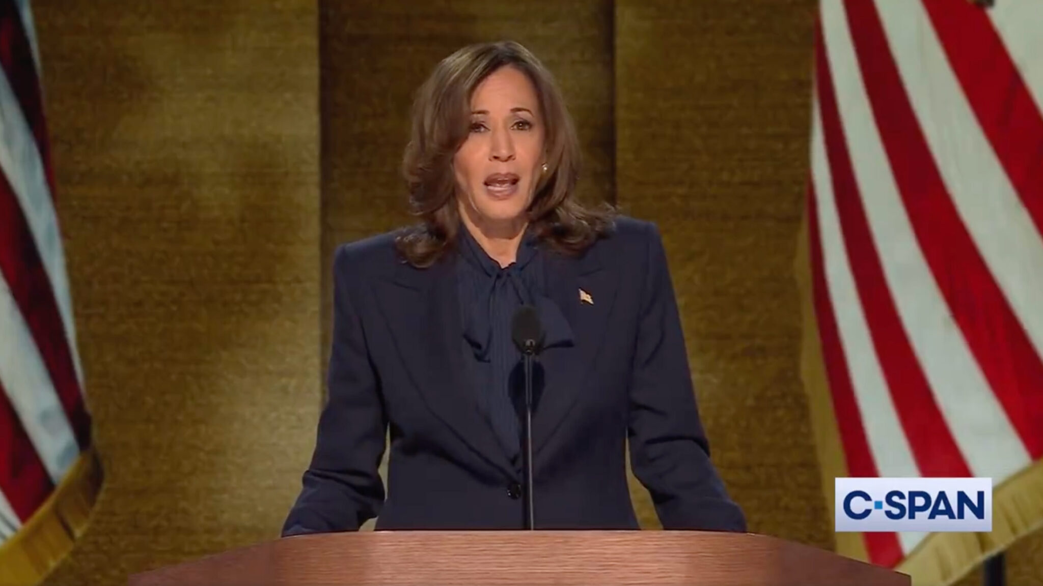 Kamala Harris accepts nomination from Democratic Party National ...