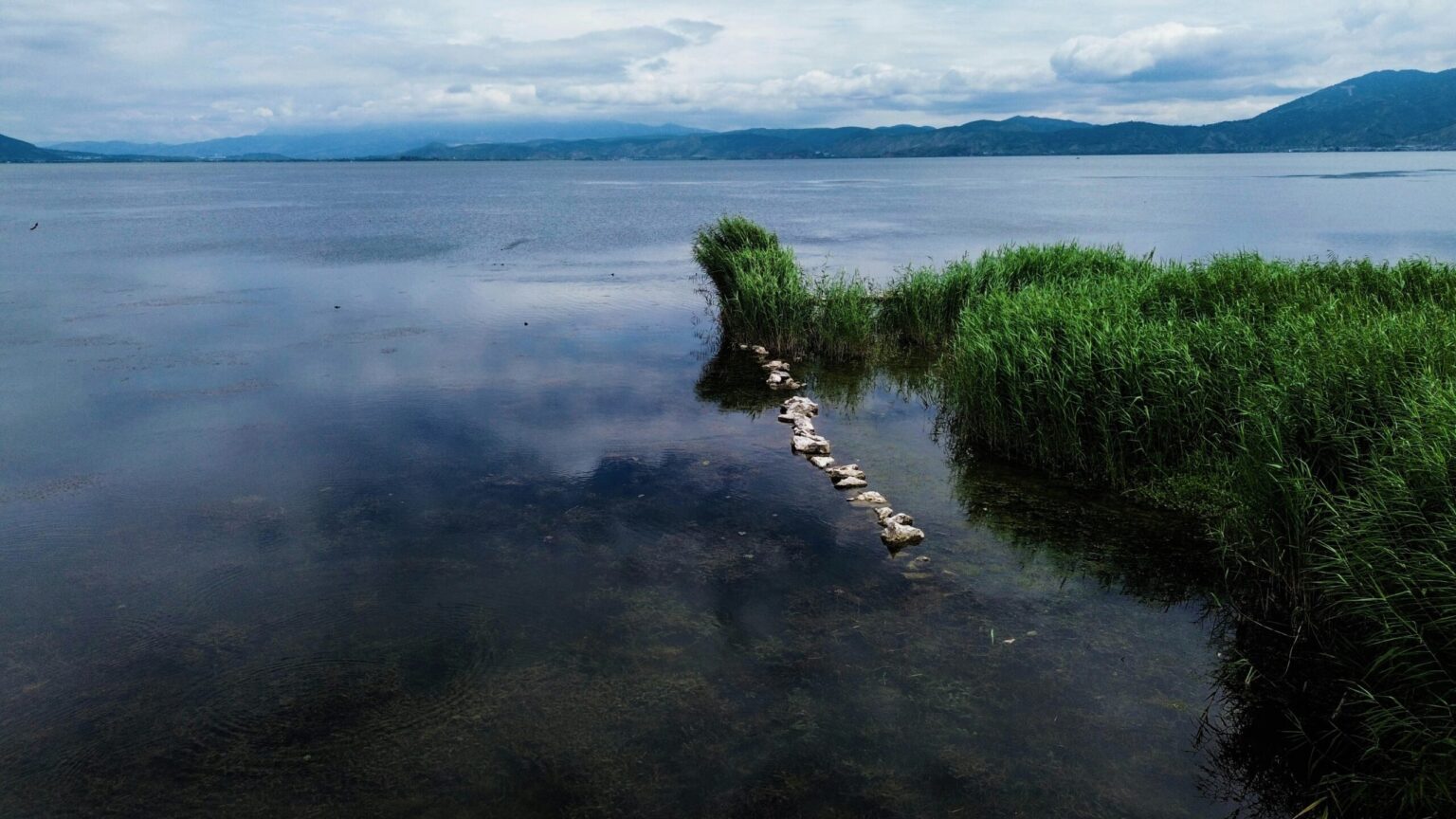 Hacer que el lago Erhai vuelva a florecer: Una historia sobre la ...